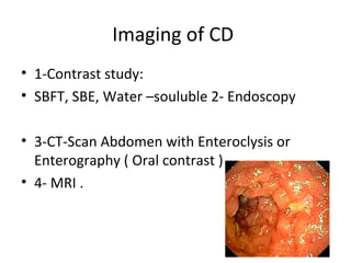Inflammatory Bowel Diseases (IBD) | PPT