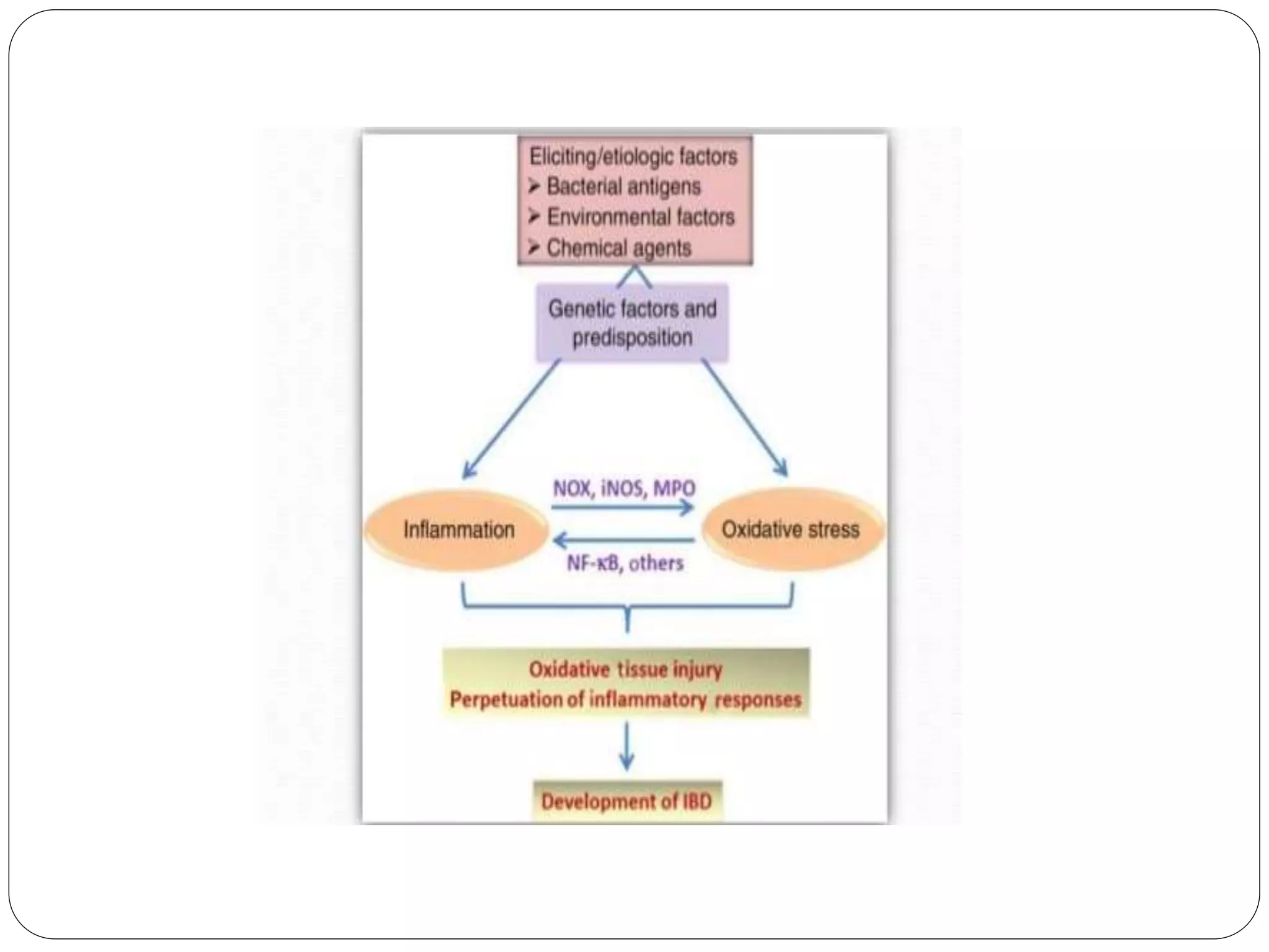 Inflammatory bowel diseases | PPTX