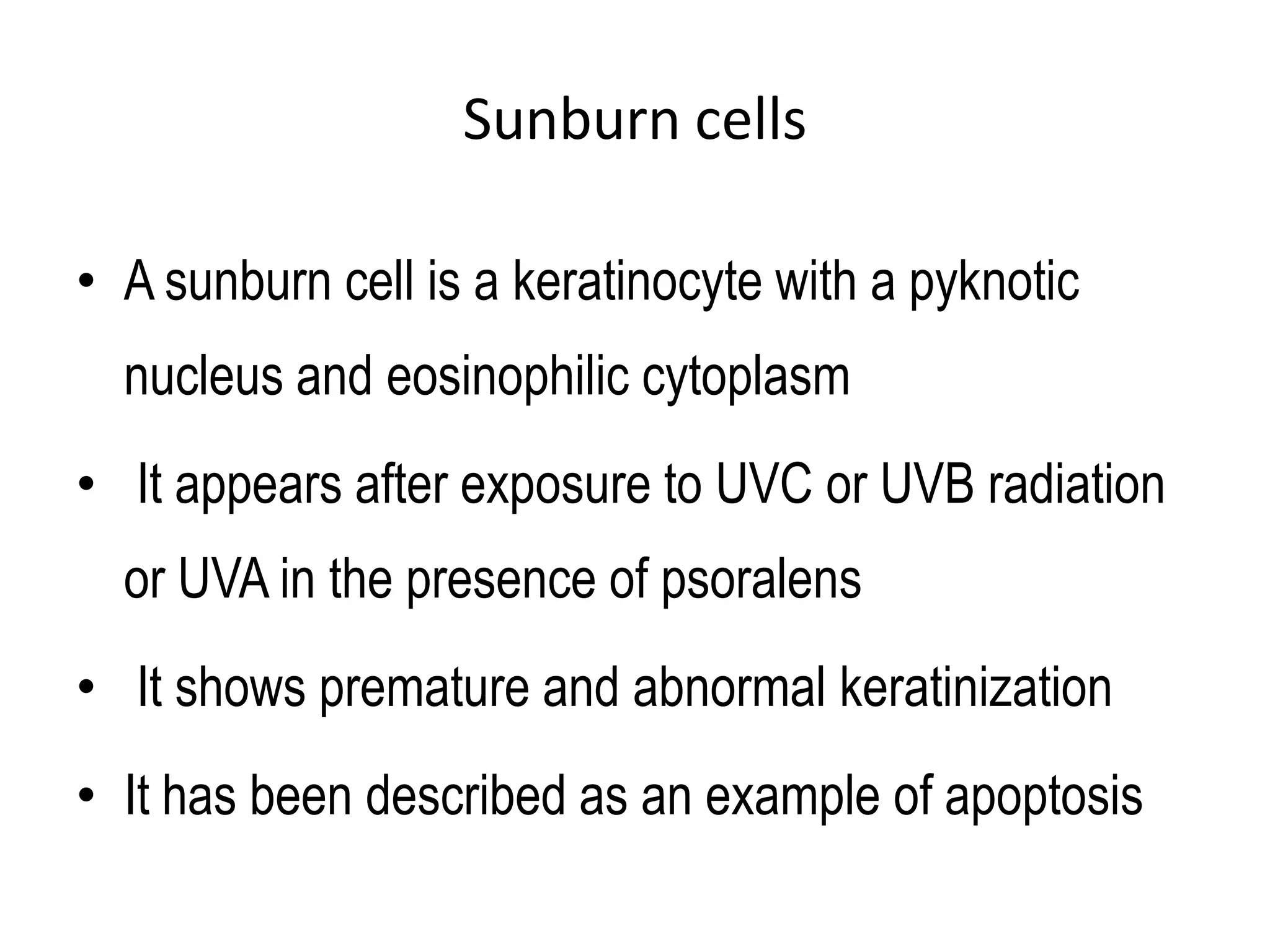 Inflammatory cells of skin | PPTX