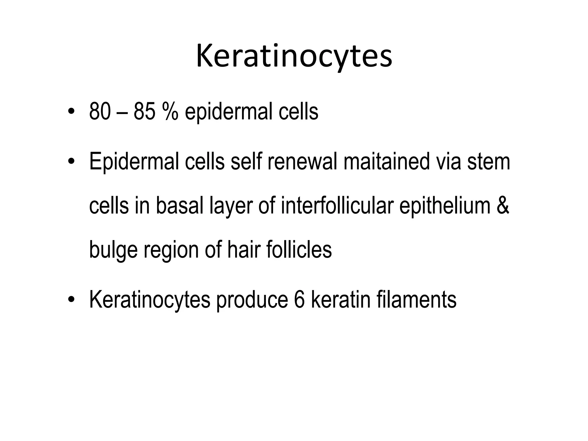 Inflammatory cells of skin | PPTX