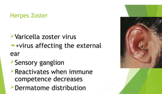 inflammatory condition of external ear-1.pptx