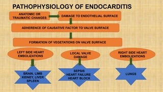 Inflammatory diseases of heart | PPTX