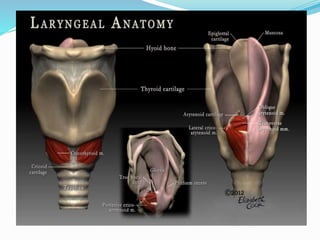 Inflammatory disorders of larynx [autosaved] | PPTX