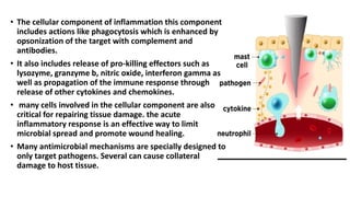 INFLAMMATORY RESPONSE IN HUMANS AND IT FUNCTION | PPTX