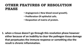 INFLAMMATORY RESPONSE IN HUMANS AND IT FUNCTION | PPT
