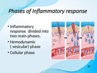 Phase of acute inflammatory response.pptx
