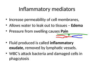 Comprehensive Overview of Inflammation: Causes, Signs, and Mediators | PPTX