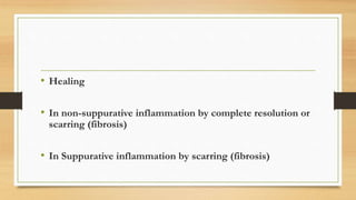 Inflammtion 4 | PPTX