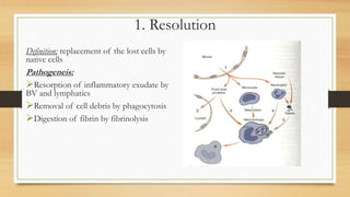 Inflammtion 4 | PPTX