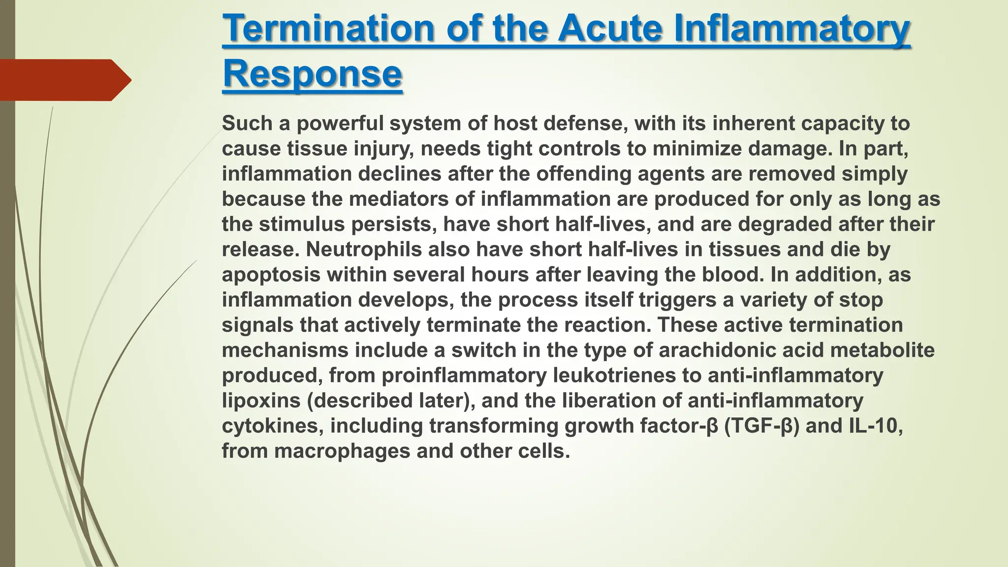 ACUTE INFLAMMATION BY DR. P THAKUR | PPTX