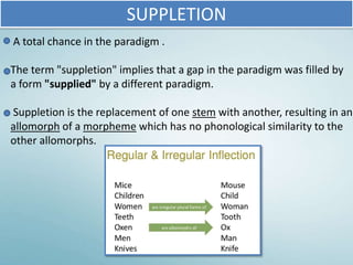 Inflectional paradigm Parte 2 | PPTX