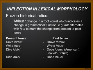 Inflection in Lexical Morphology | PPT