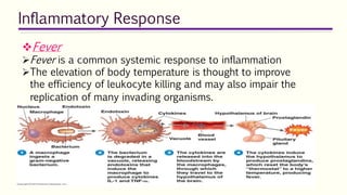 Inflammation | PPTX