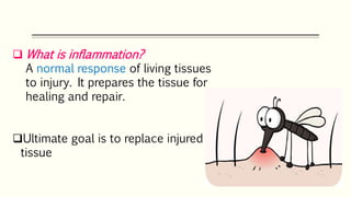 Inflammation | PPTX