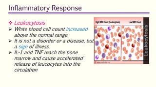 Inflammation | PPTX