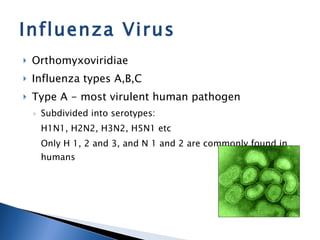 Influenza a b | PPT
