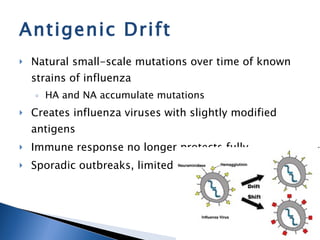 Influenza a b | PPT