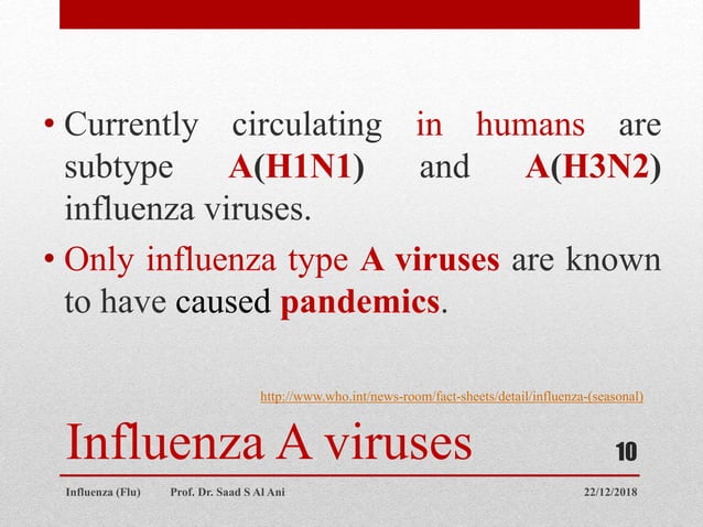 Infleunza | PPTX | Infectious Diseases | Diseases and Conditions