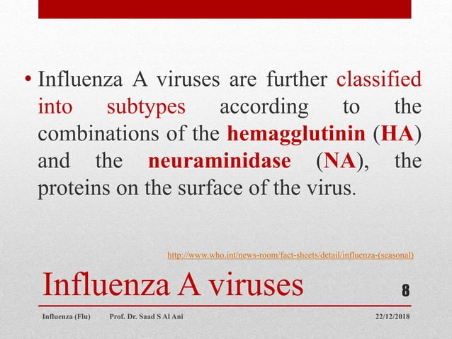 Infleunza | PPTX | Infectious Diseases | Diseases and Conditions