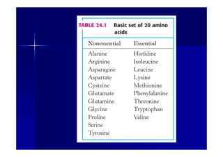 Inf lez 6 proteine e basi azotate 19 20 | PDF