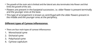 inflorescence important in flower morphology | PPTX | Gardening | Home ...