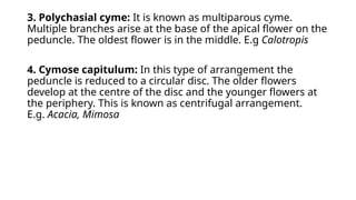 inflorescence important in flower morphology | PPTX | Gardening | Home ...