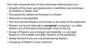 inflorescence important in flower morphology | PPTX | Gardening | Home ...