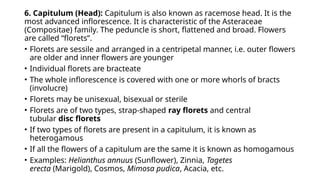 inflorescence important in flower morphology | PPTX | Gardening | Home ...