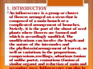 Inflorescence | PPT