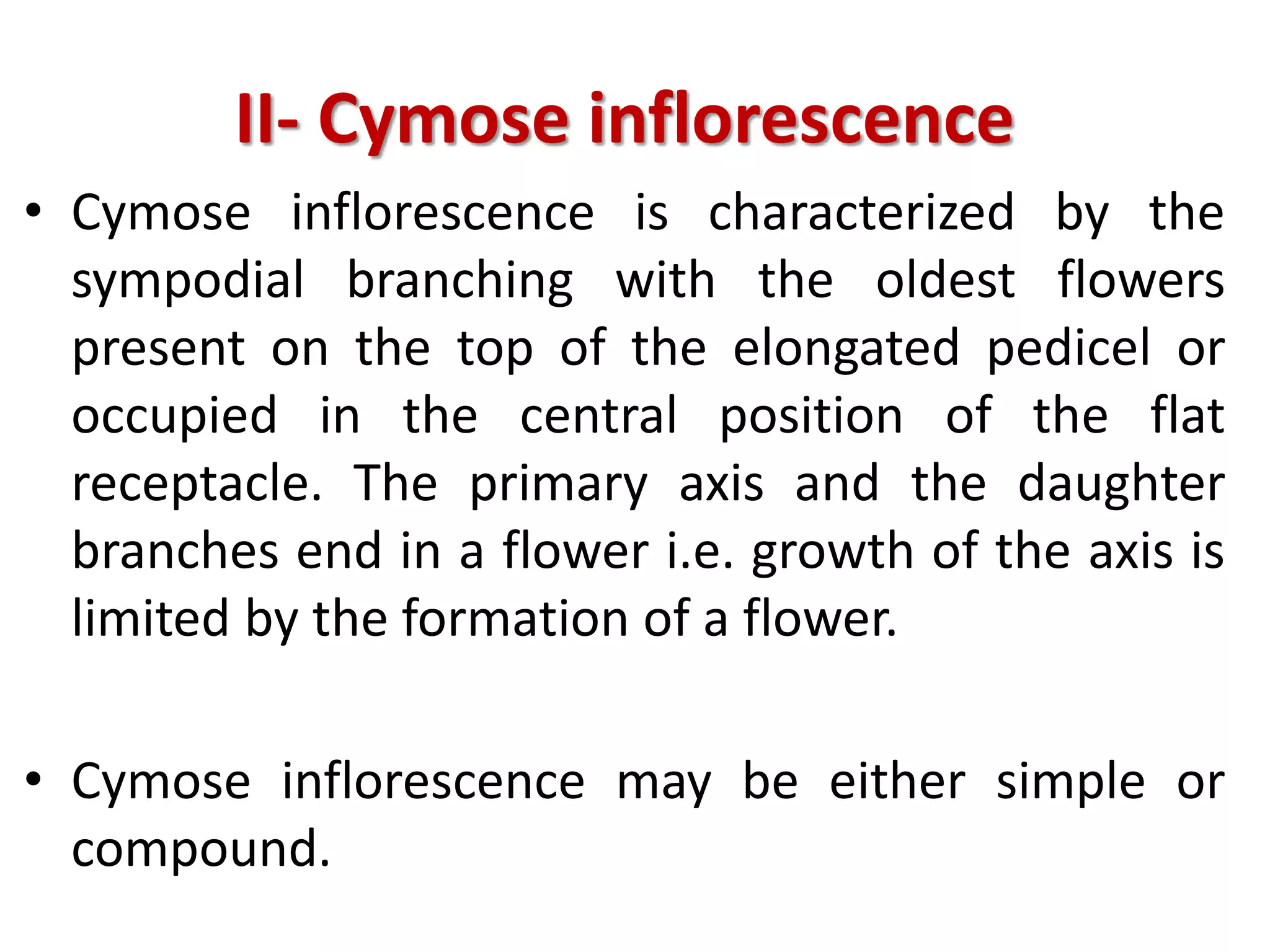 Inflorescence | PPTX