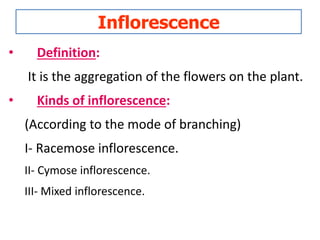 Inflorescence | PPTX