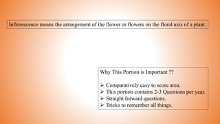 Inflorescence Types,cymose and racemose types,examples with Diagrams | PPTX