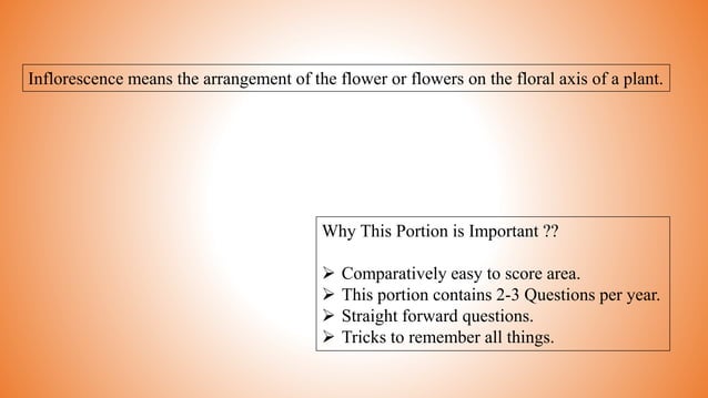 Inflorescence Types,cymose and racemose types,examples with Diagrams ...