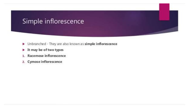 Inflorescence and types | PPTX