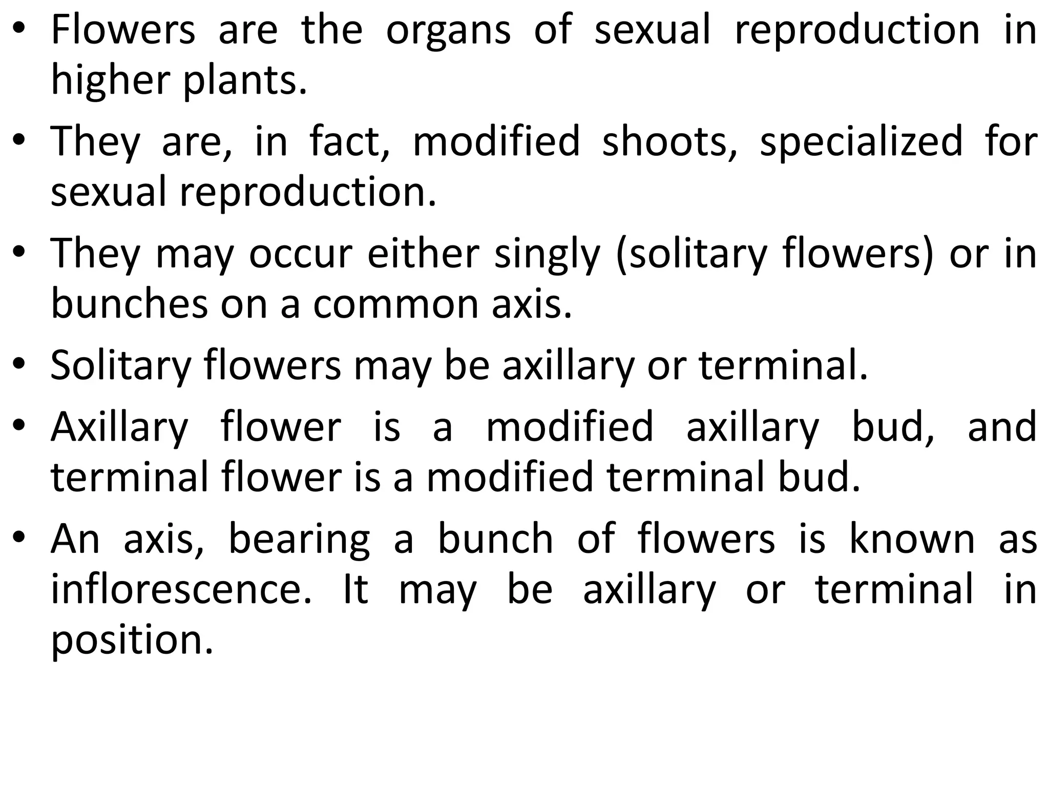 Inflorescence | PPTX