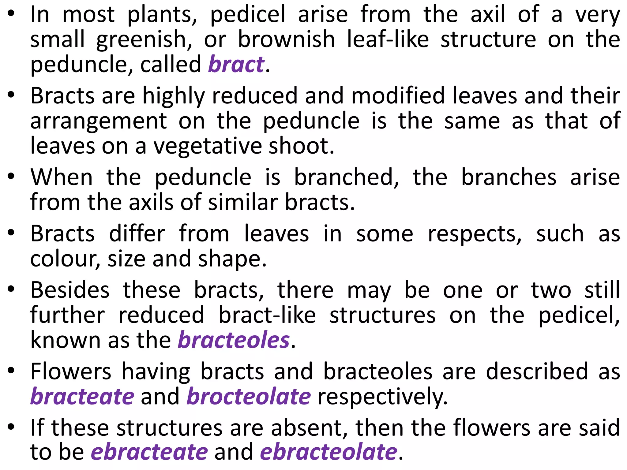 Inflorescence | PPTX