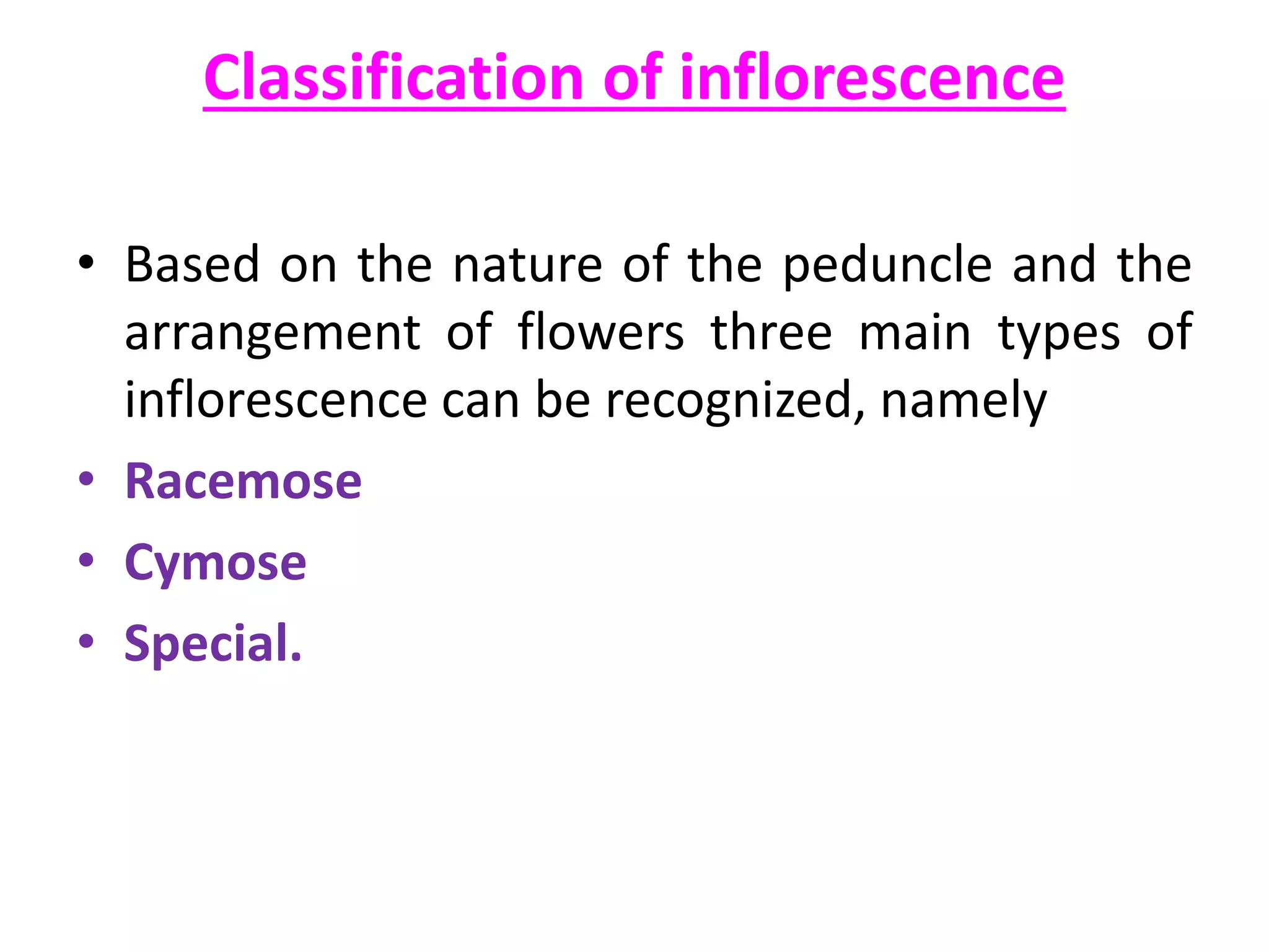 Inflorescence | PPTX