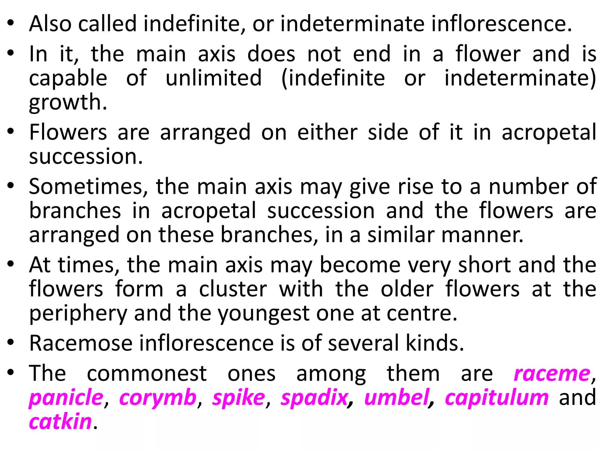 Inflorescence | PPTX