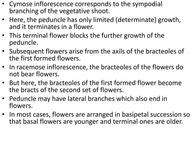 Inflorescence | PPTX