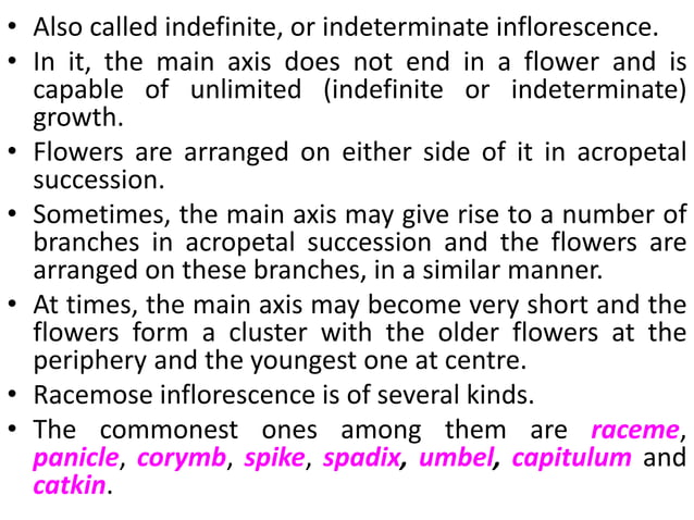 Inflorescence | PPTX