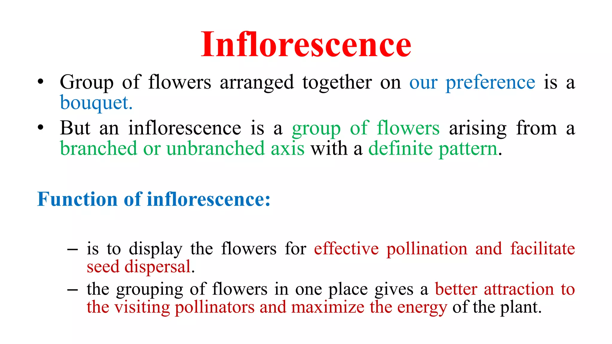 Inflorescence | PPT