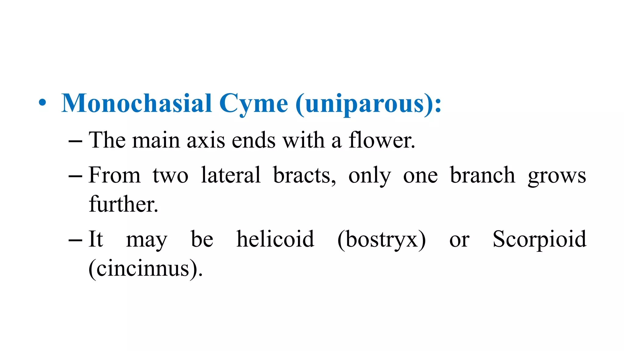 Inflorescence | PPTX