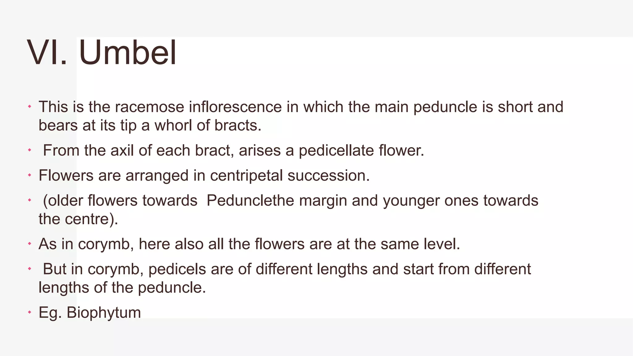 Inflorescence1 | PPTX