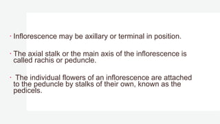 Inflorescence1 | PPT