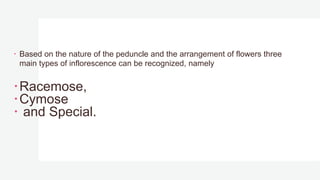 Inflorescence1 | PPT
