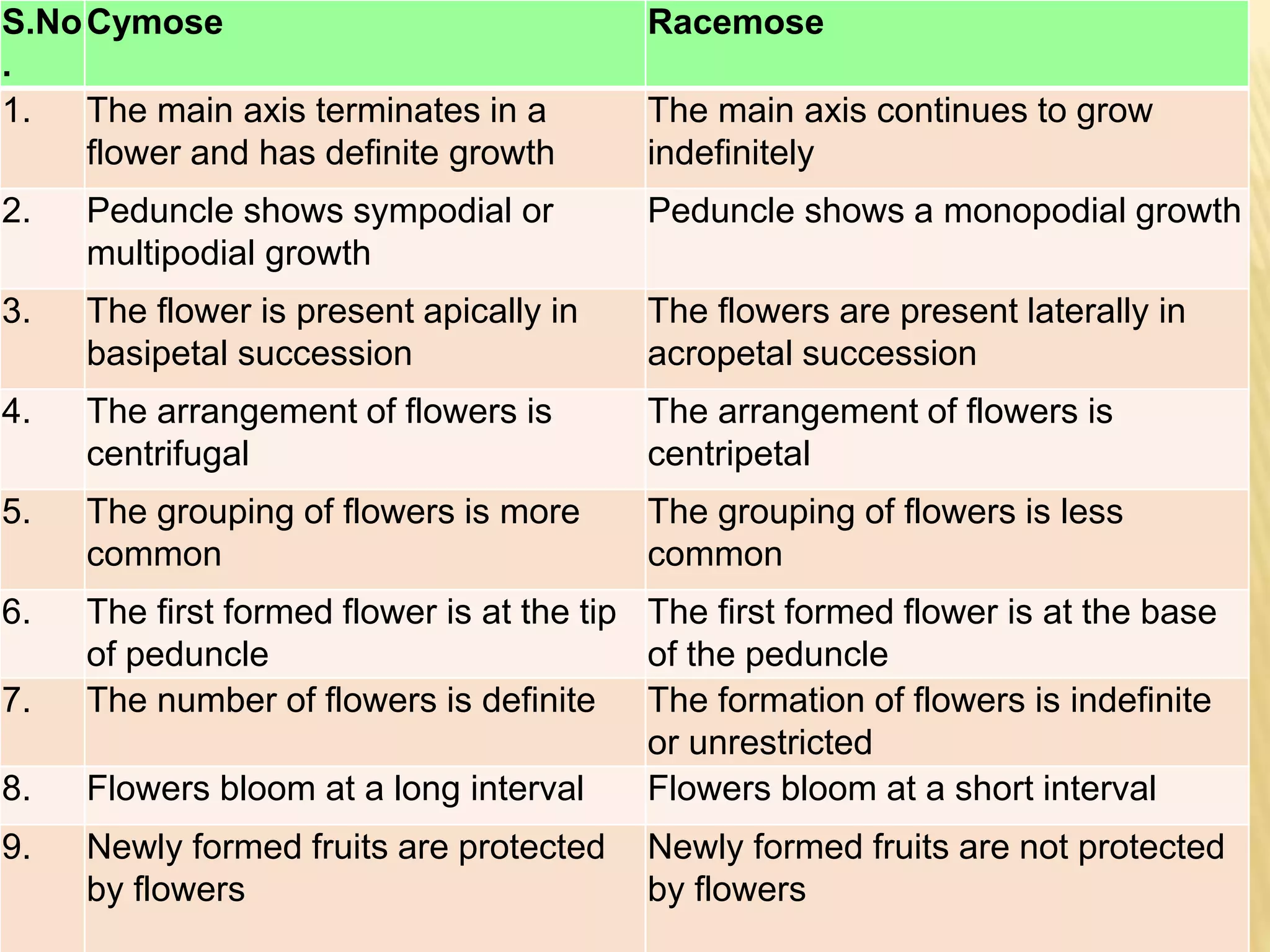 Inflorescence and its types | PPTX