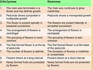 Inflorescence and its types | PPTX