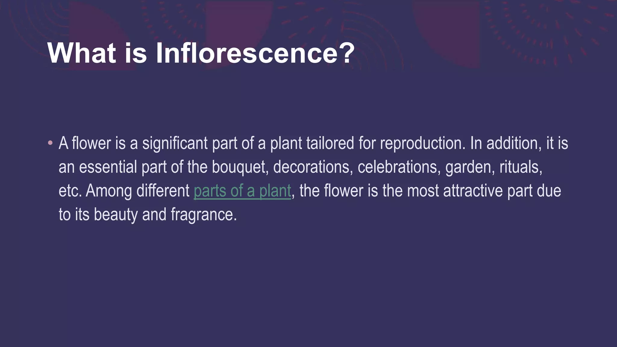 Botany: Inflorescence , Placentation & Seed .pptx
