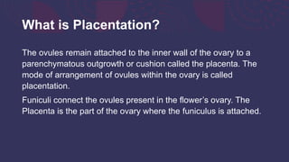 Botany: Inflorescence , Placentation & Seed .pptx