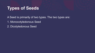 Botany: Inflorescence , Placentation & Seed .pptx